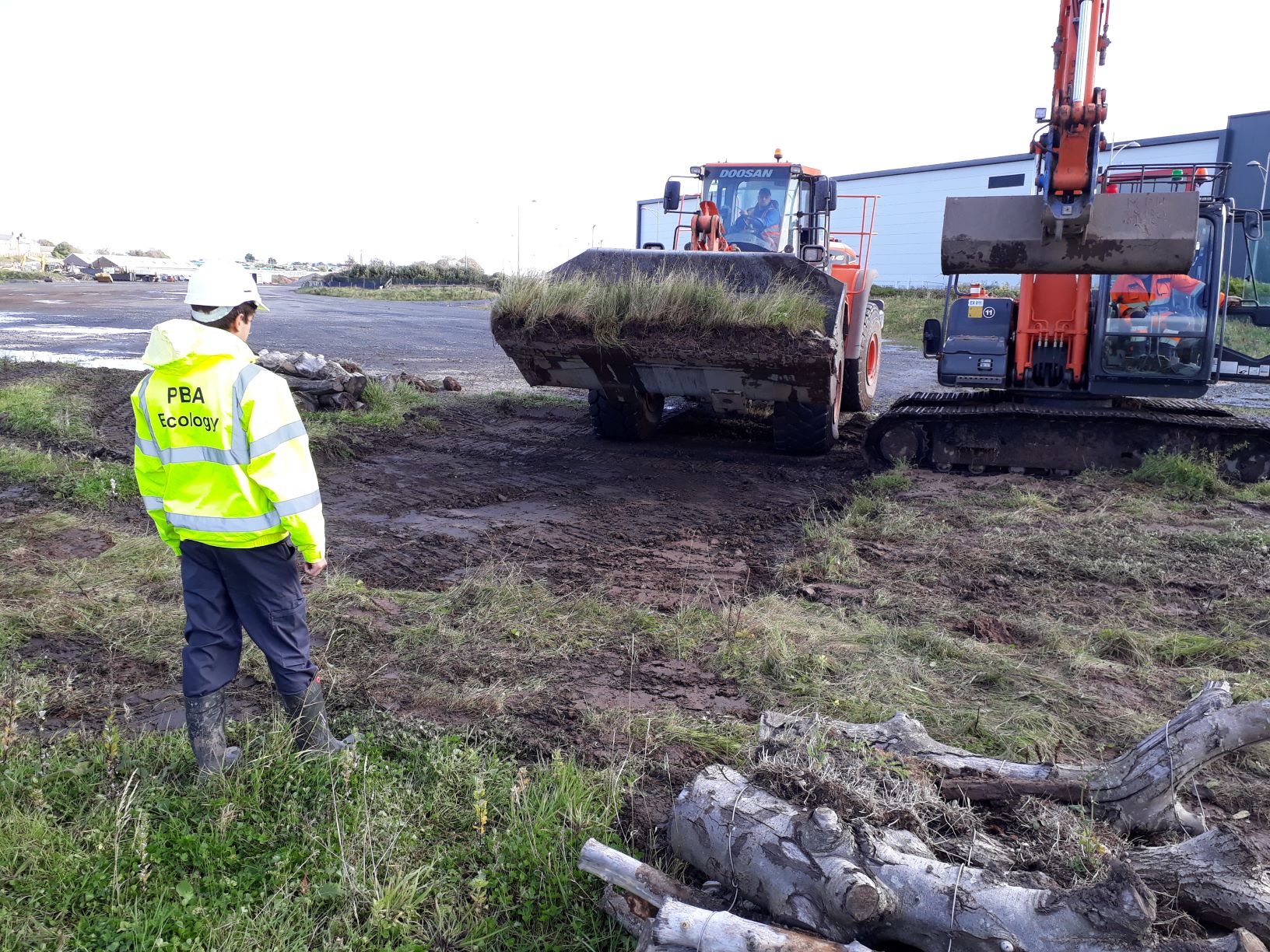 Environmental Impact Assessment (EIA)